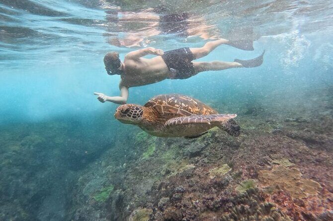 Explore 4 iconic snorkeling spots of Manta Bay in Nusa Penida - FAQ