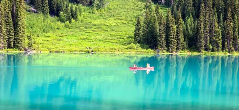 Explore 9 Iconic Banff Spots in 1 Epic Day!(Pax 12/Group) - Who Should Book This Tour?