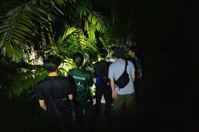 Explore a Rainforest teeming with Wildlife at Night! - Key Points