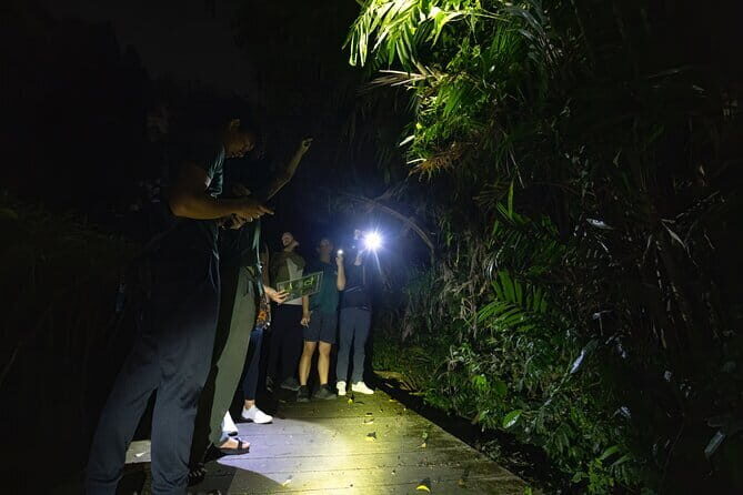 Explore a Rainforest teeming with Wildlife at Night! - Who Would Love This Tour?