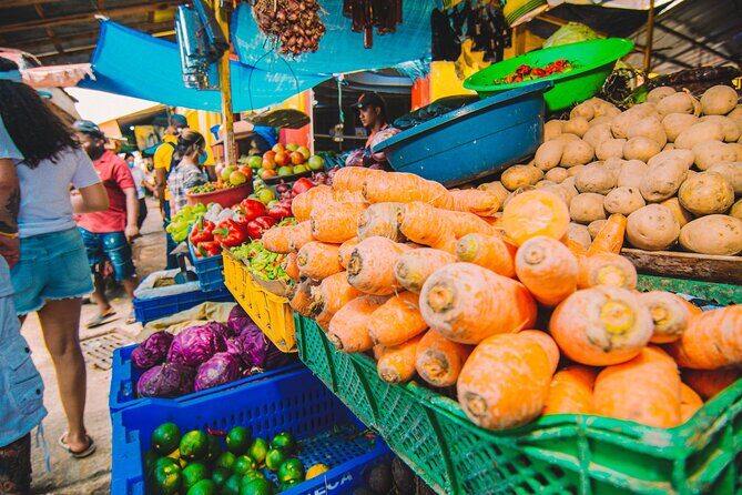 Explore and Learn the Culture of the Dominicans - What Makes This Tour Stand Out?