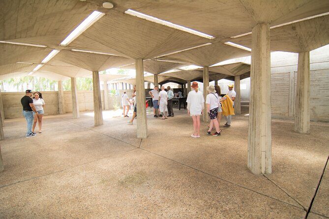 Explore and Learn the Culture of the Dominicans - Who Should Consider This Tour?