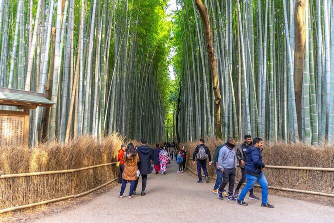 Explore Arashiyama Bamboo Forest with Authentic Zen Experience - Discovering the Heart of Arashiyama