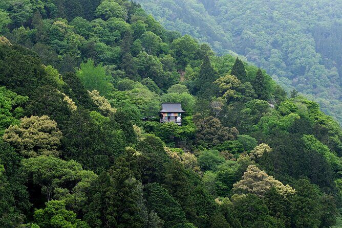 Explore Arashiyama Bamboo Forest with Authentic Zen Experience - FAQ
