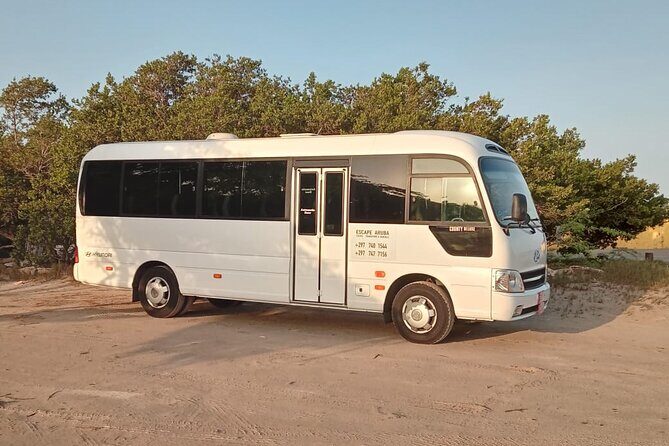 Explore Aruba with Escape Aruba(Private) - Who Will Love This Tour?