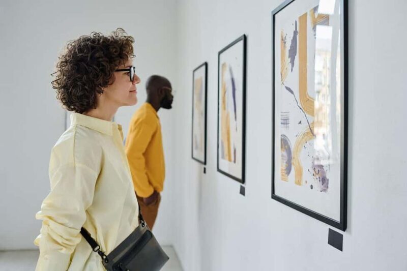 Explore Aucklands Fine Arts Heritage  Private Tour by Car - Key Points