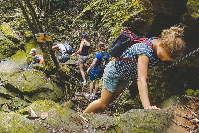 Explore Authentic Guadeloupe with a Local Multilingual Guide - An Immersive Journey into Guadeloupe’s Heart