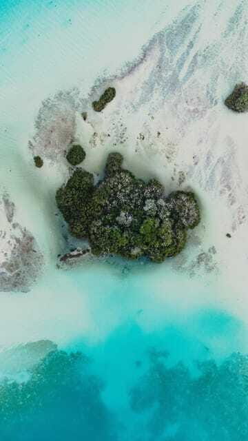 Explore Bacalar Lagoon by Kayak: Full Day Rental - FAQ