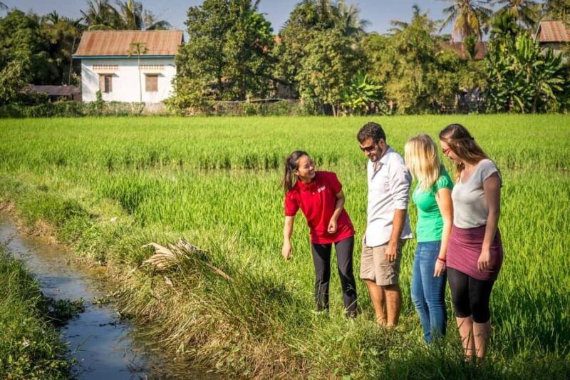 Explore Balis Rice Terraces: Private Guided Hiking Tour - Practical Details