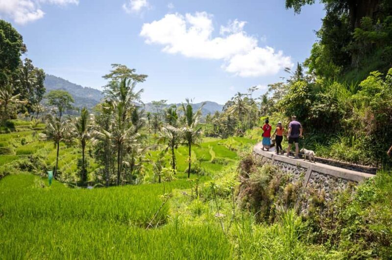 Explore Balis Rice Terraces: Private Guided Hiking Tour - Final Thoughts