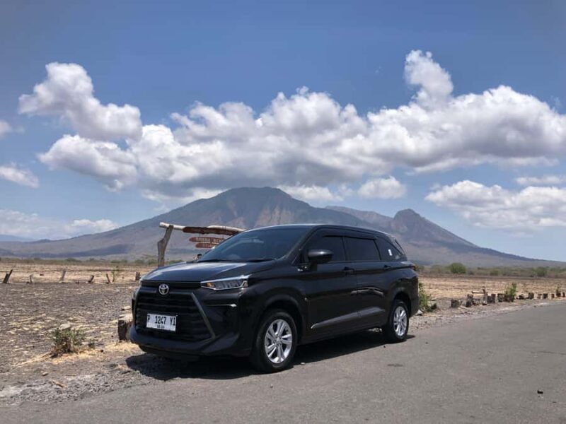 Explore Baluran By Menara Timur Tour & Travel - Key Points