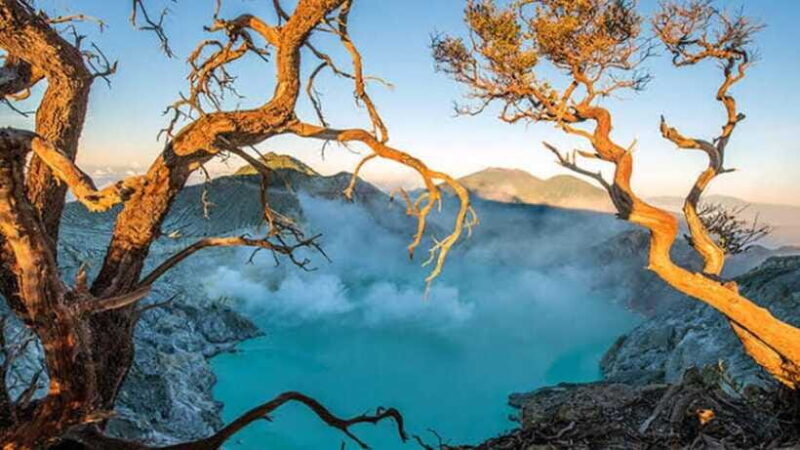 Explore Banyuwangi 3 day 2 night - Who Should Consider This Tour?