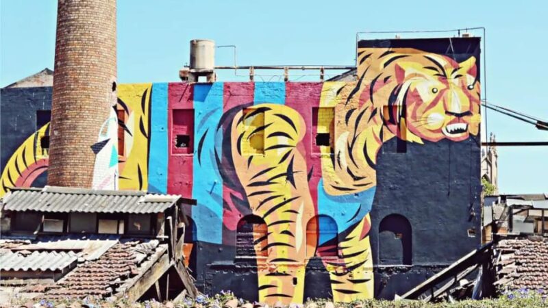 Explore Barcelona with a bicycle builder - Key Points
