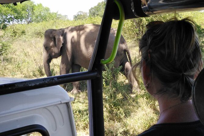 Explore Beautiful Sri Lanka ( happy 8 days) - Final Stops: Turtle Farm and Village Life