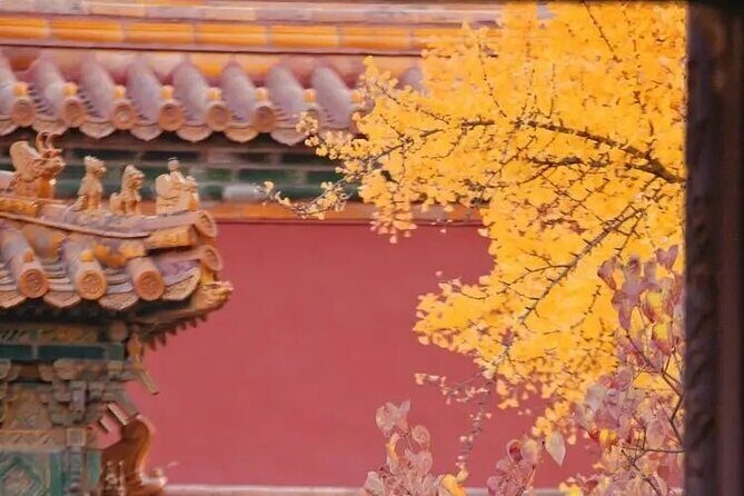 Explore Beijing with camera--City Walk tour with Professional photography guide - The Sum Up