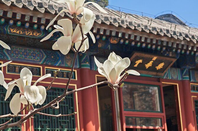 Explore Beijing's Summer Palace Tour - A Detailed Look at the Summer Palace Tour