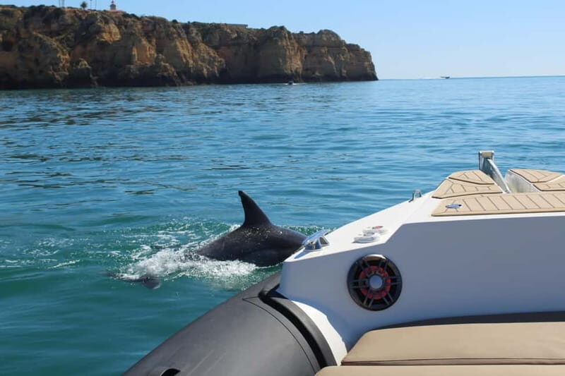 Explore Benagil, Ponta da Piedade and Dolphins in Algarve - A Closer Look at the Algarve Private Boat Tour