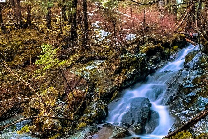 Explore Beyond the Dock: Unforgettable Private Tour in Sitka - The Sum Up