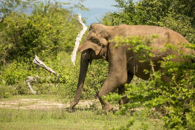 Explore Beyond the Ordinary - Key Points