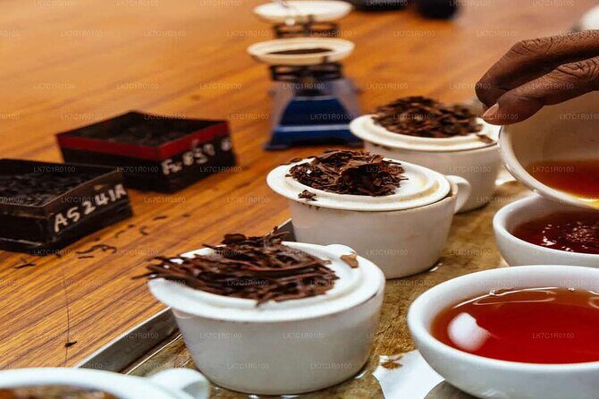 Explore Beyond the Ordinary - Wilderness and Water: Gal Oya National Park