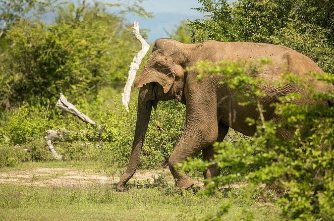 Explore Beyond the Ordinary - Returning to Colombo