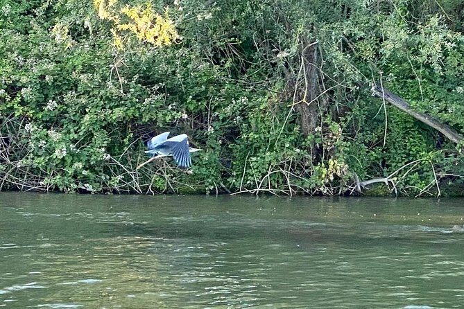 Explore Bird & Marine Wildlife private Boat Tour in English - The Experience Itself: What Youll Feel and See