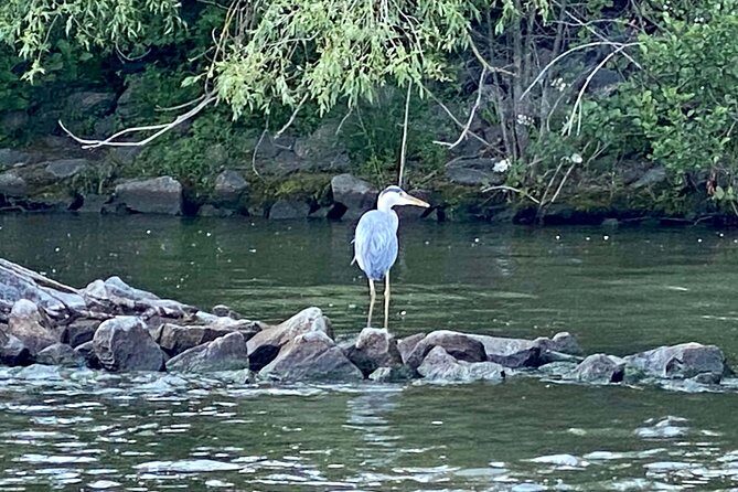 Explore Bird & Marine Wildlife private Boat Tour in English - Valuing the Price