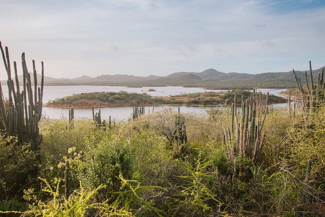 Explore Bonaire: North & South Tour - Review Highlights and Real Traveler Perspectives