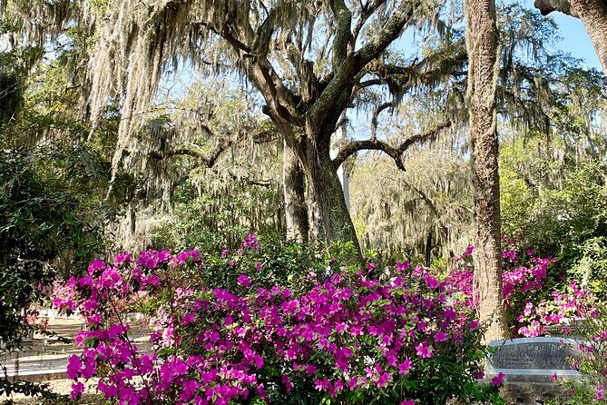 Explore Bonaventure Cemetery with Guided Walking Tour - A Walk Through Savannah’s Most Famous Cemetery