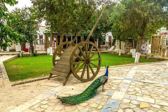 Explore Bukhara's Countryside with a Traditional Lunch Experience - Key Points