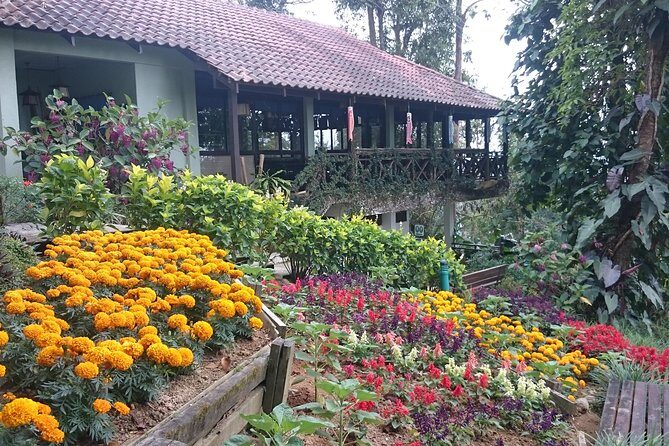 Explore Bukit Tinggi & Batu Caves: Nature, Culture, and Heritage - The Sum Up
