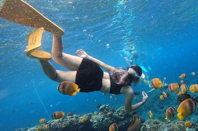 Explore Cham Island: Snorkeling Excursion from Hoi An or Da Nang - Key Points