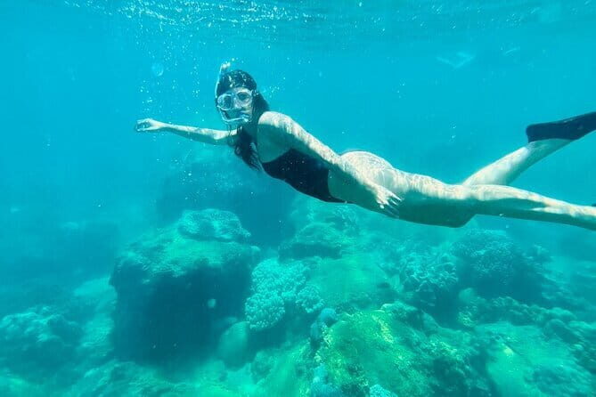 Explore Cham Island: Snorkeling Excursion from Hoi An or Da Nang - A Closer Look at the Itinerary