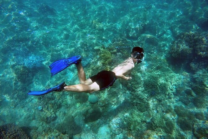 Explore Cham Island: Snorkeling Excursion from Hoi An or Da Nang - Who Is This Tour Best For?