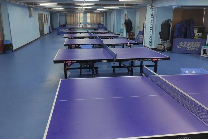 Explore Chinese Table Tennis with ITTF Museum Tour and match play - The Sum Up