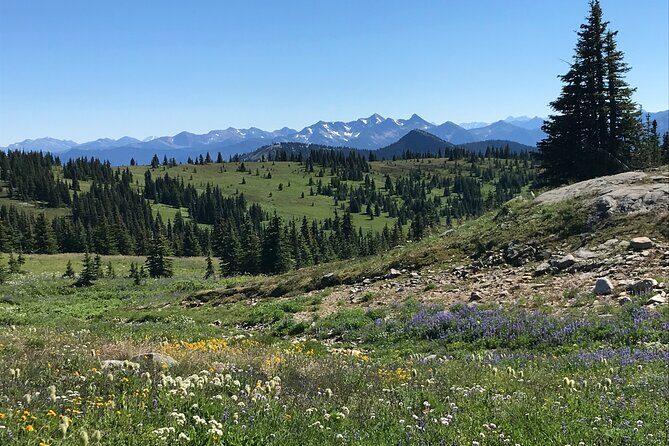 Explore Coastal Mountain Treasures: Scenic Hike from Squamish, BC - Who Is This Tour Best Suited For?