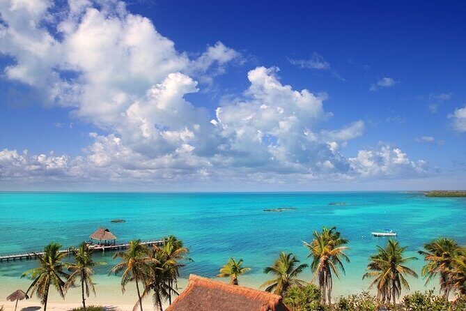 Explore Contoy Island - Ideal For Who?