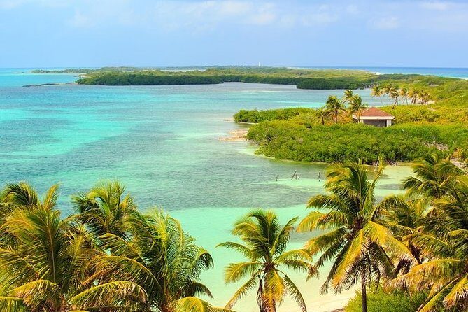 Explore Contoy Island - Final Words