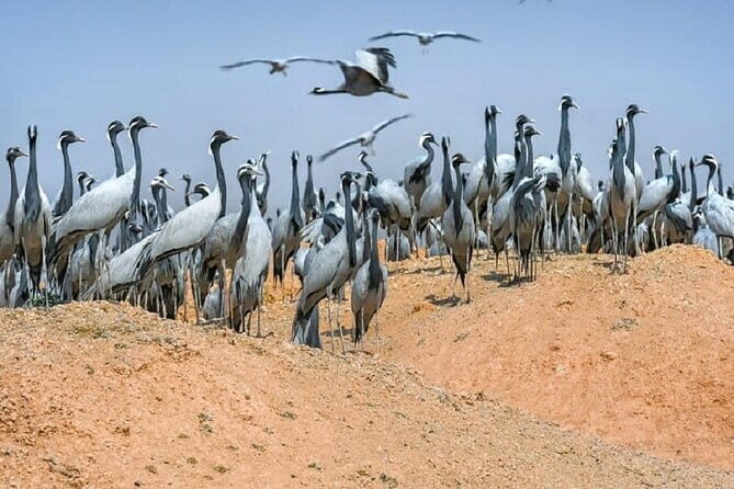 Explore Delhi Agra With Exclusive Bharatpur Bird Century 3 Day - Key Points