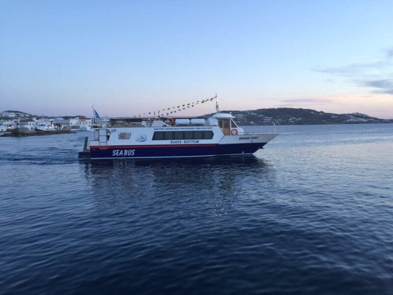 Explore Delos & Rhenia - Lunch and Drinks