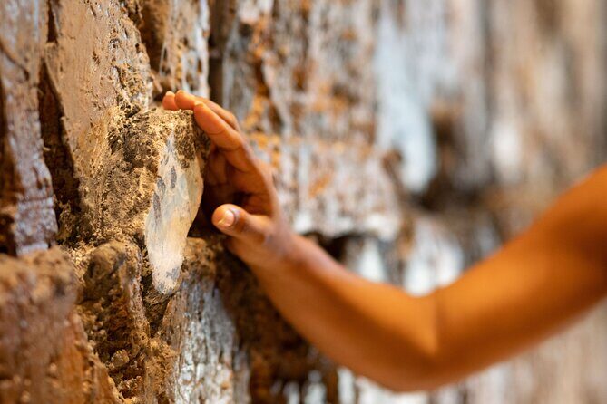 Explore Dominicania Culture Family Friendly Experience - Who Should Consider This Tour?