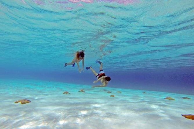 Explore El Cielo in Cozumel. Snorkel in 3 different reefs & visit Cielito Beach. - Who Will Love This Tour?