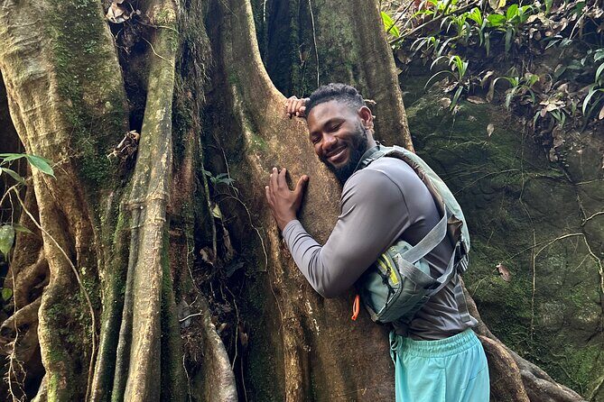 Explore El Yunque: Hiking, Swings & Waterslide (Small Group) - What the Reviews Say