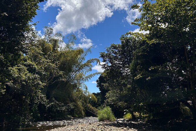 Explore El Yunque: Hiking, Swings & Waterslide (Small Group) - The Transportation and Practicalities
