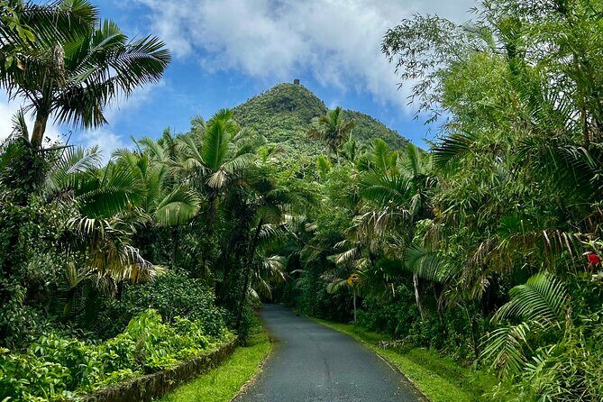 Explore El Yunque National Forest Guided Nature Adventure - FAQs