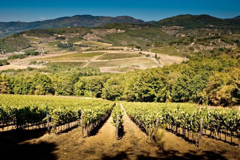 Explore Elegance: Savor 3 Exquisite Wines at Tenuta Bossi - A Detailed Look at What to Expect