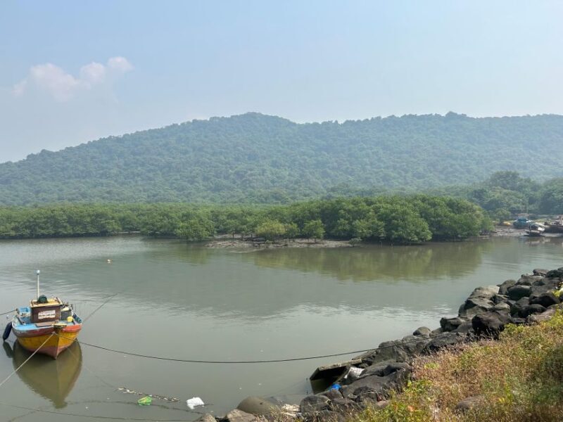 Explore Elephanta Caves Tour - Exploring the Elephanta Caves Tour: A Journey into Ancient India