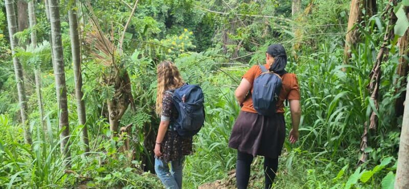 Explore Ellas Iconic Waterfalls on Scenic Tuk Tuk Adventure - An In-Depth Look at the Tour Experience