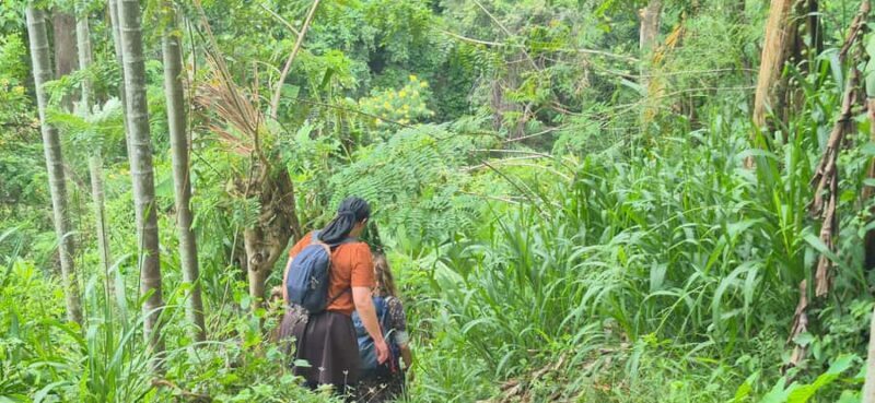 Explore Ellas Iconic Waterfalls on Scenic Tuk Tuk Adventure - Who Will Love This Tour?