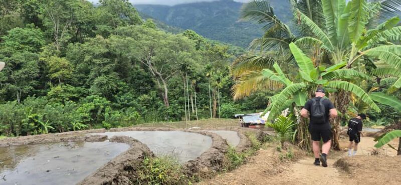 Explore Ellas Iconic Waterfalls on Scenic Tuk Tuk Adventure - FAQs